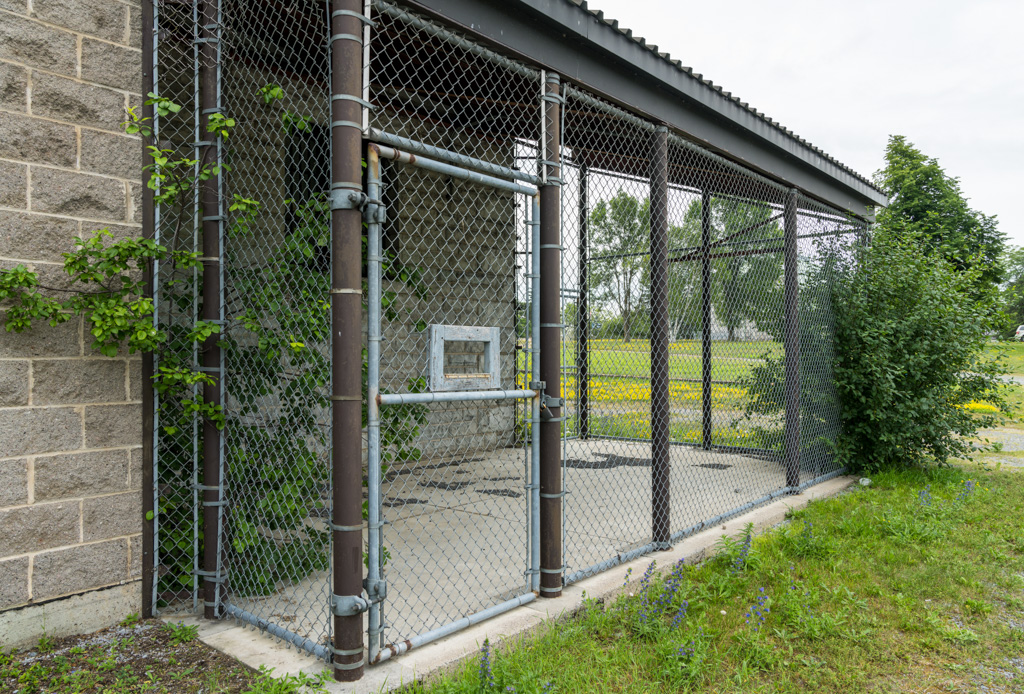 Inside P4W — July 2023 - P4W Memorial Collective